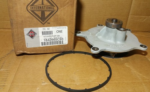 Genuine OEM International Water Pump with Gasket Kit Assembly ...