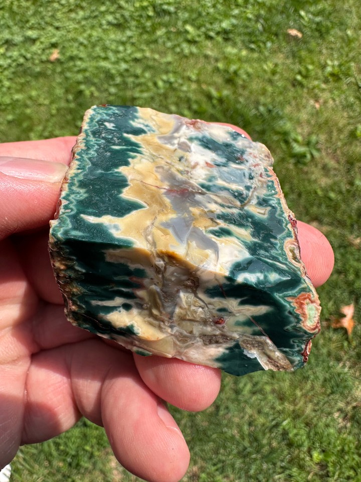 PREMIUM SPECIMEN__RARE Idaho Sunset Jasper / Agate Rough - Lemhi County ...