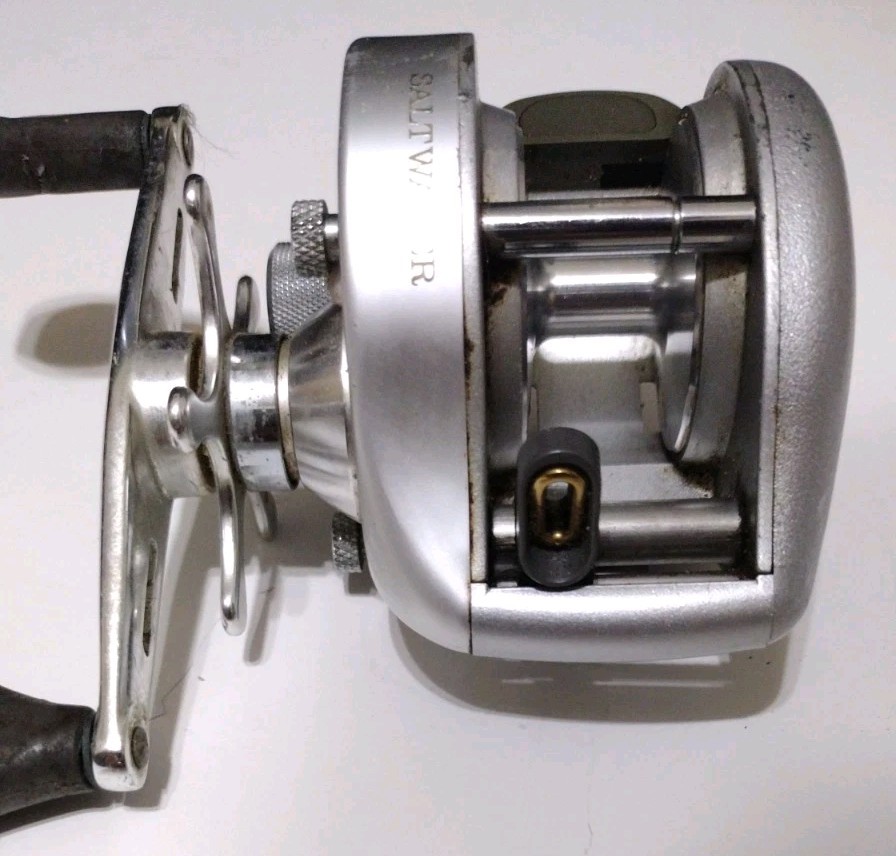 Lew's Childre Speed Spool BB-25SW Baitcasting Reel Saltwater 4-Bearing ...
