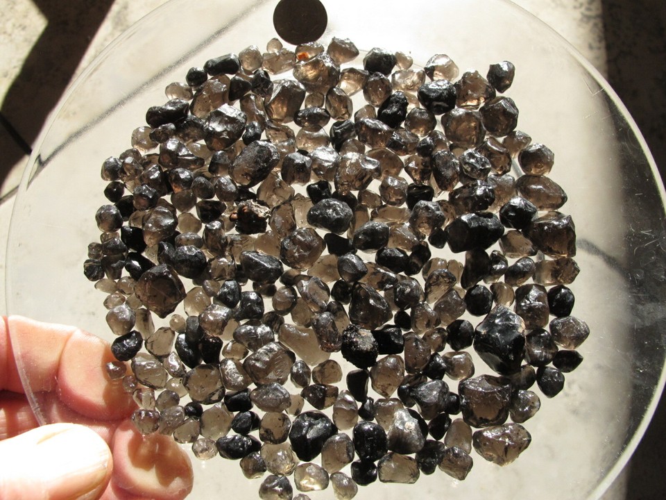 Apache Tears Obsidian Nodules, From Alluvium in Jemez Mtns, NM - Tot ...