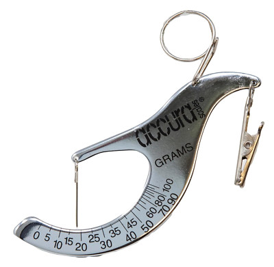 Hand-Held Postal Scale - Compact Portable Analog Detection Device ...