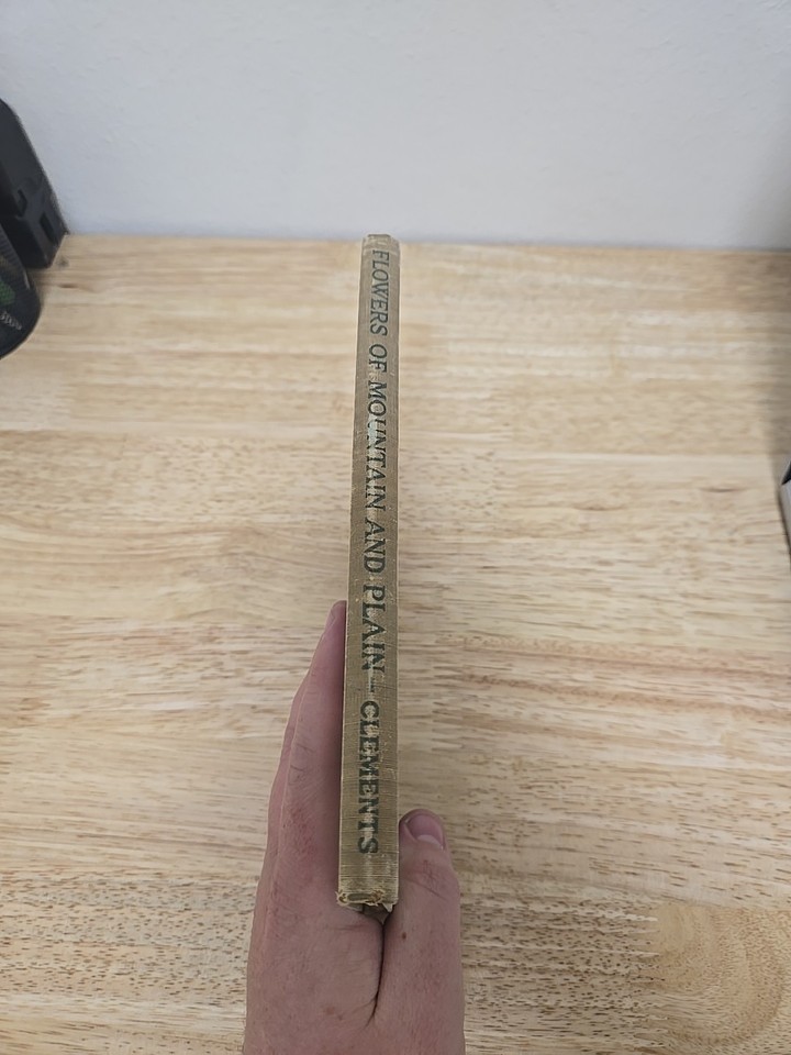 1945 Vintage Book: Flowers Of Mountain & Plain By Edith Clements | eBay