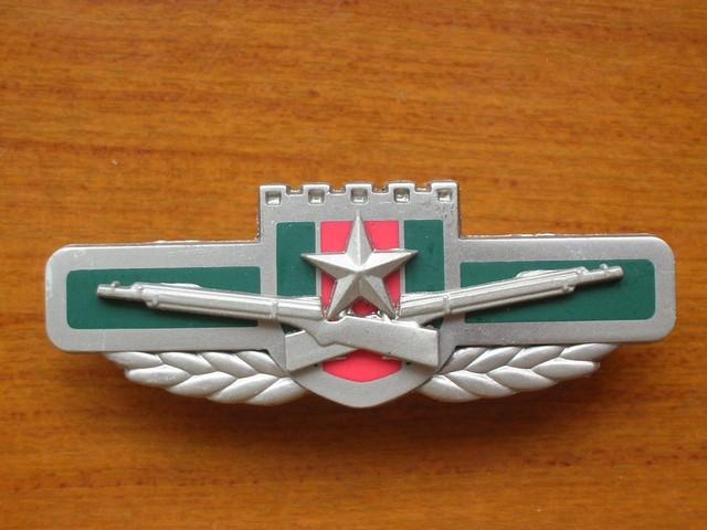 07's series China PLA Army Badge | eBay