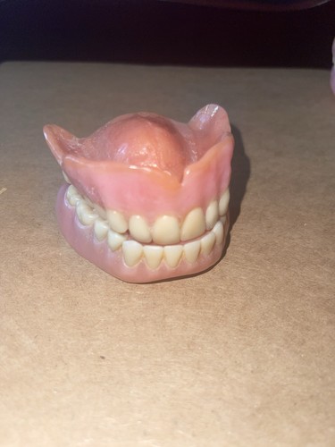 Vintage Dentures Upper & Lower False Teeth w Gums Sculpture Oddity ...