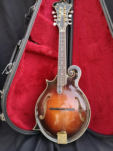 Rare Janish Hand Made left-handed Mandolin Stunning | eBay UK
