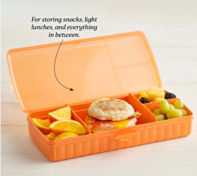 Tupperware Lunch N Things Divided Hinged Bento /Lunch/Supply Container ...