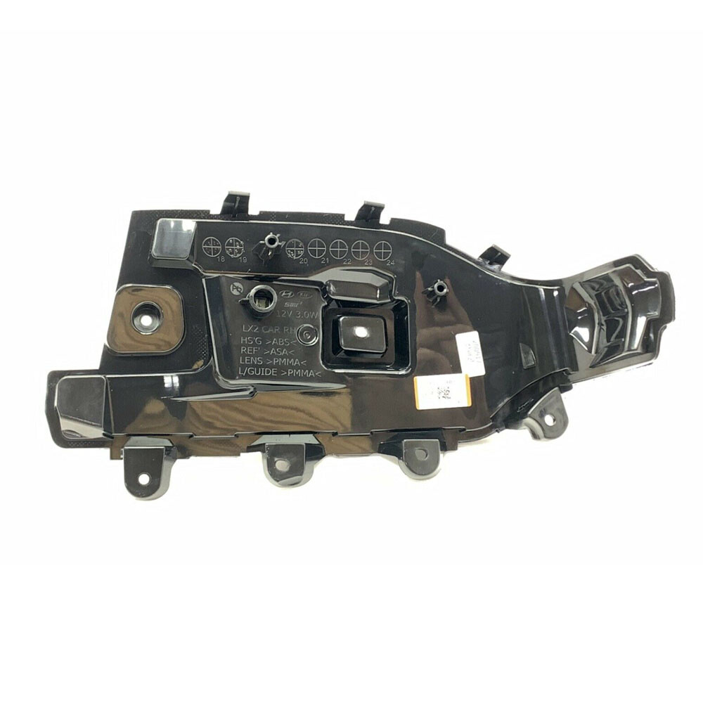 2020-2021 Hyundai Palisade OEM Outside Door Mirror Lamp Right RH ...