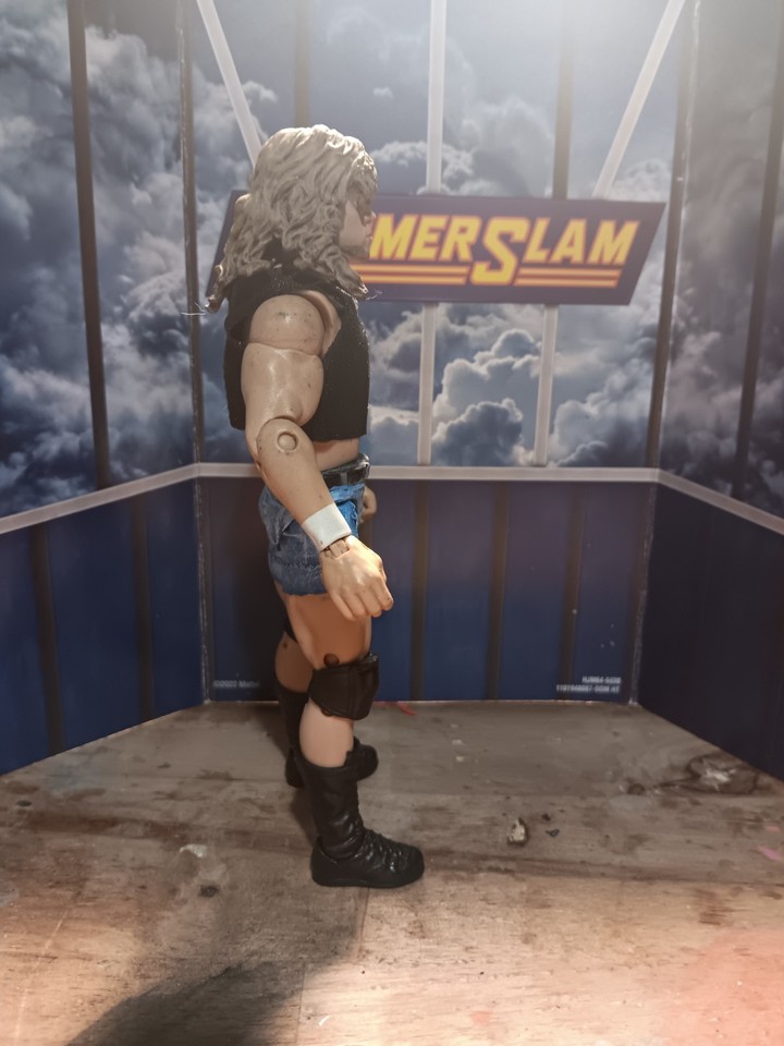 Custom Wwe Elite Stevie Richards Early Ecw. Wcw Wwf | eBay