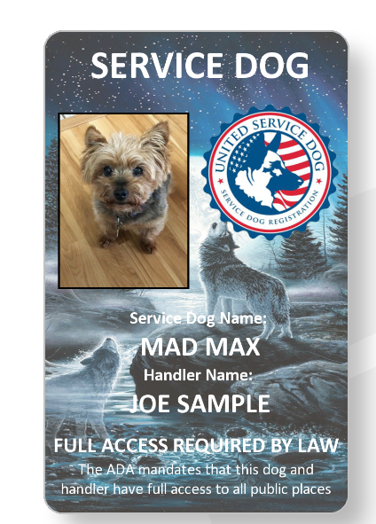 Wolf Service Dog/Emotional support/Therapy Dog ID card | eBay
