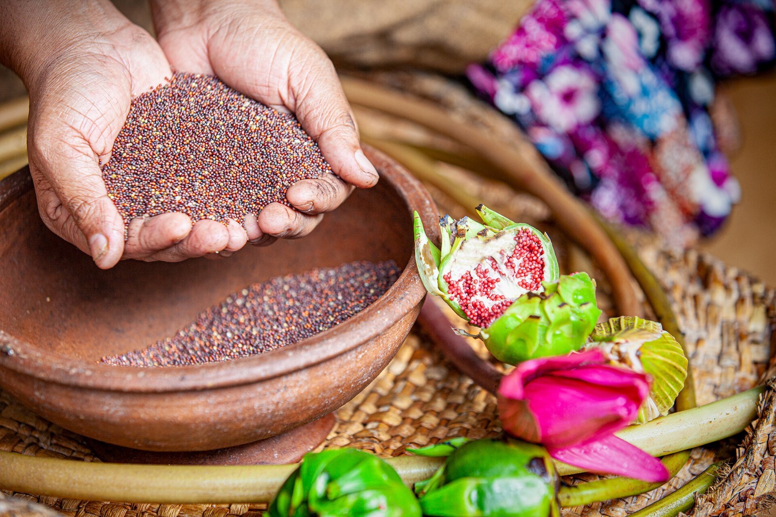Olu Rice, Water Lily rice That good for Fatty Llver, Cirhosis, Kidney ...