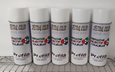 PROFILS Lot de 5 Color coating repair GRIS DESERT l'alu pour la ...