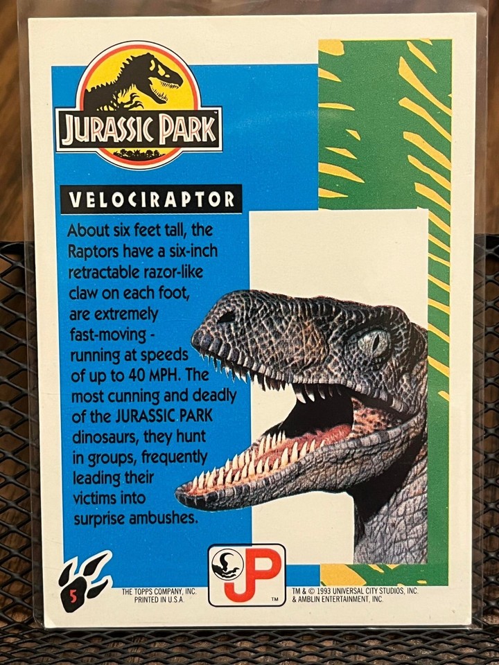 VELOCIRAPTOR 1993 TOPPS JURASSIC PARK ORIGINAL #5 DINOSAUR CARD ...
