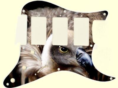 Pickguard Custom to fit Fender Stratocaster Graphic HHH 11 Hole Vulture ...
