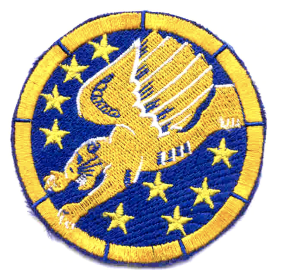 3" AIR FORCE 99TH FIGHTER SQUADRON EMBROIDERED PATCH | eBay