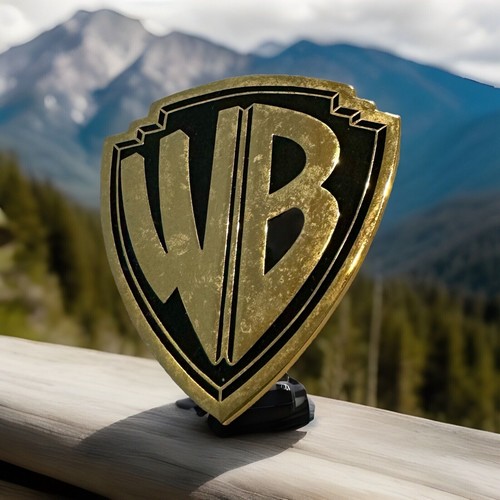 VTG 2000 Warner Bros Studios WB Gold Rim Shield Logo Brothers Fridge ...