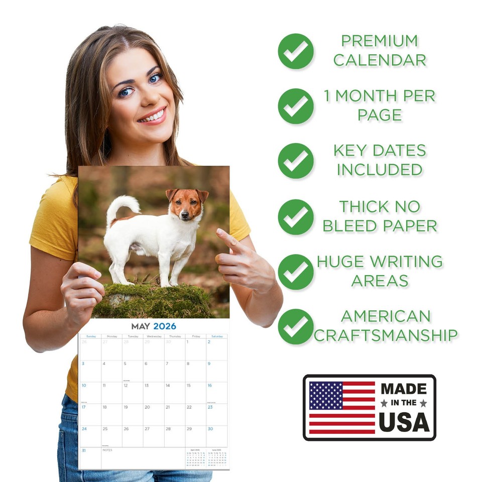 Jack Russell Calendar 2026 - Dog Breed Wall Calendar - Made in the USA ...