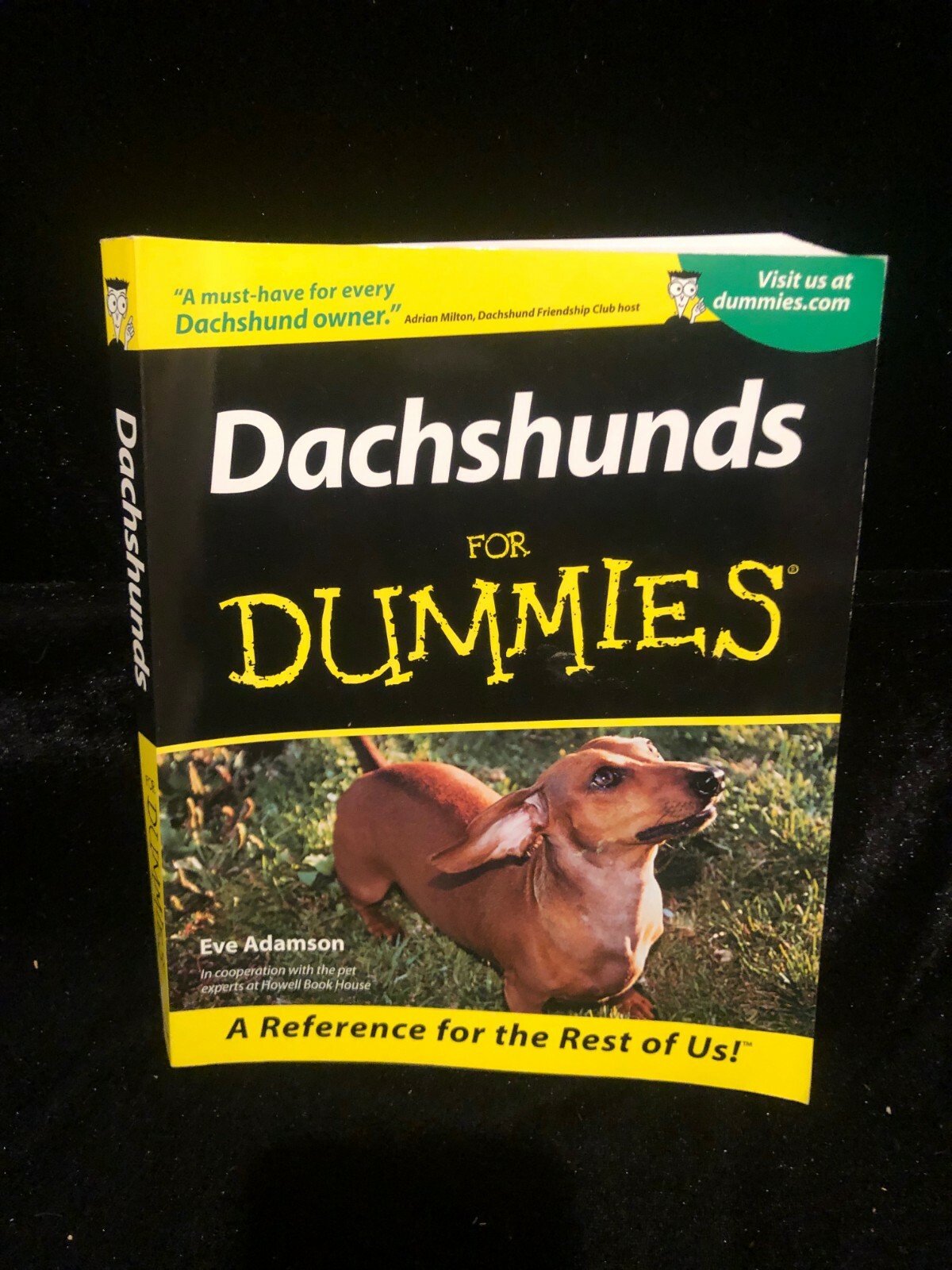 Dachshunds for Dummies® by Eve Adamson (2001, Trade Paperback) for sale ...