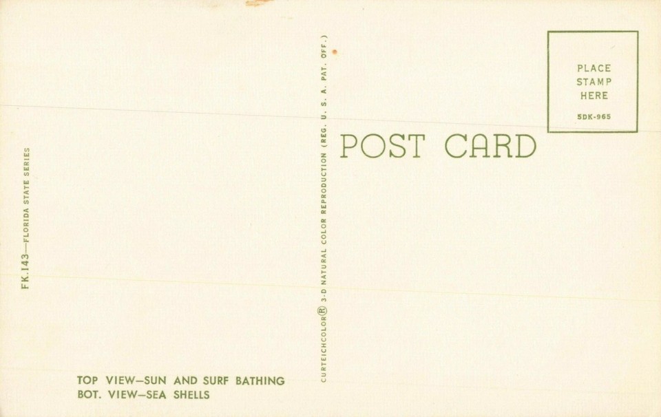 Postcard Greetings from The Sunshine State Florida | eBay