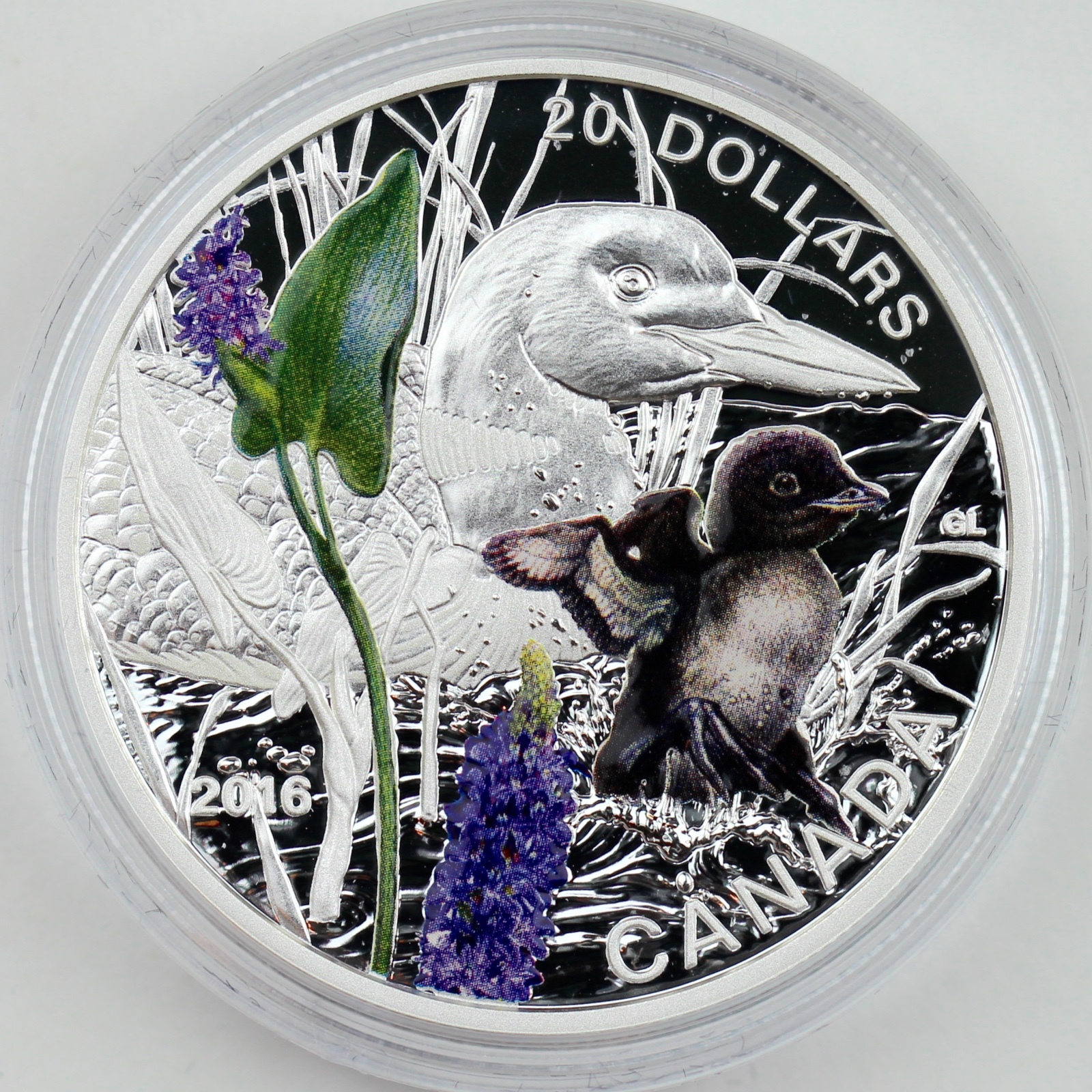 Canada 2016 $20 Baby Animals: Common Loon 1 oz Pure Silver Color Proof ...