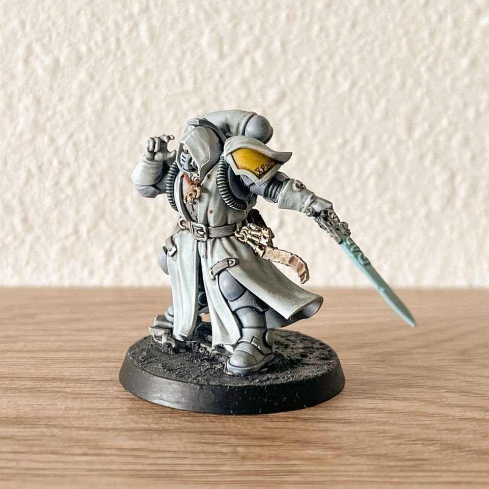 Warhammer 40k Primaris Marines - Painted Space Wolves Army - (242) | eBay