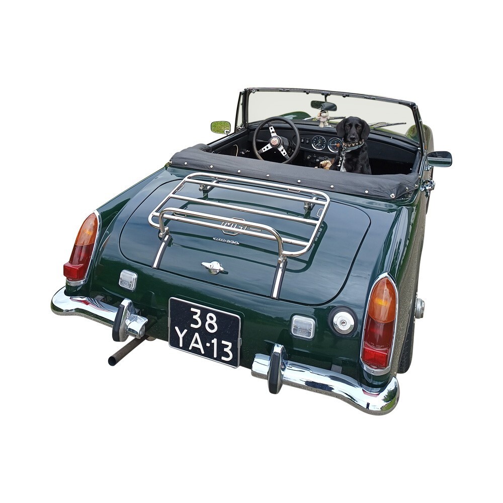 Car Trunk Luggage Rack Chrome