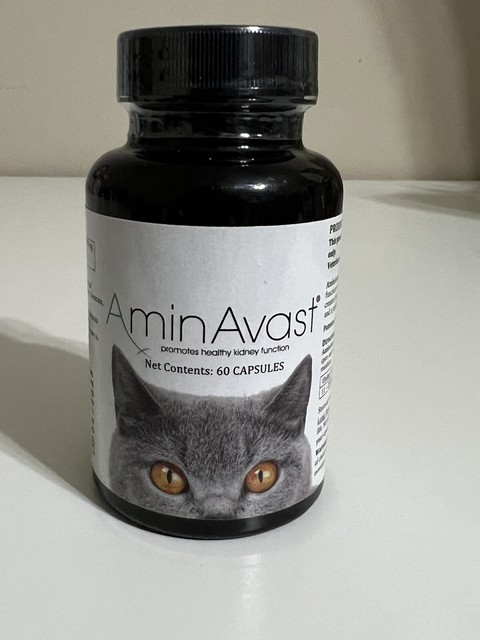 BioHelath Solutions AminAvast Cat Kidney Support - 60 Capsules for sale ...