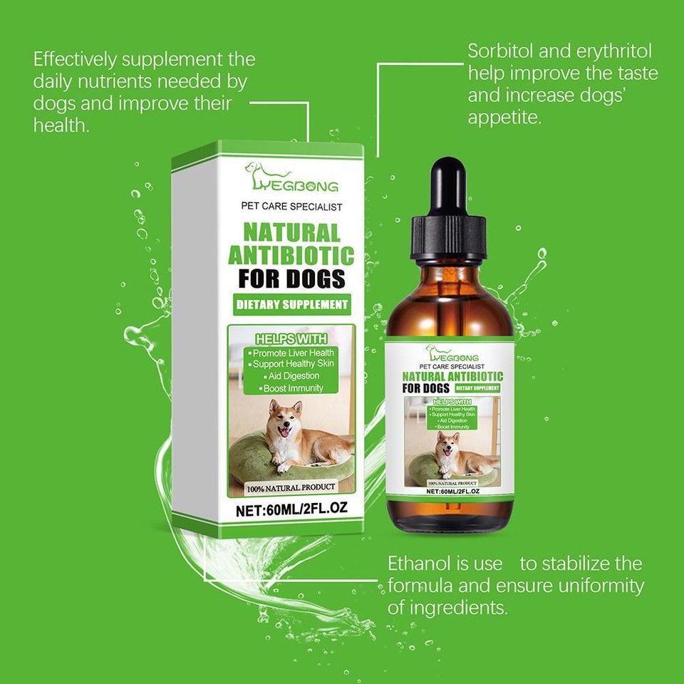 Dog Antibiotics, Antibiotics for Dogs, Natural Dog Antibiotics Drops ...