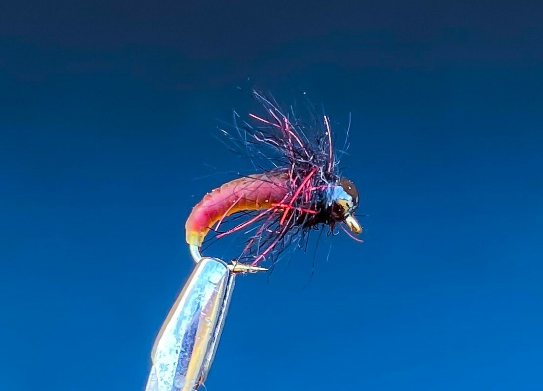 Caddis Larva worm fly for trout panfish bluegill (3 pack) | eBay