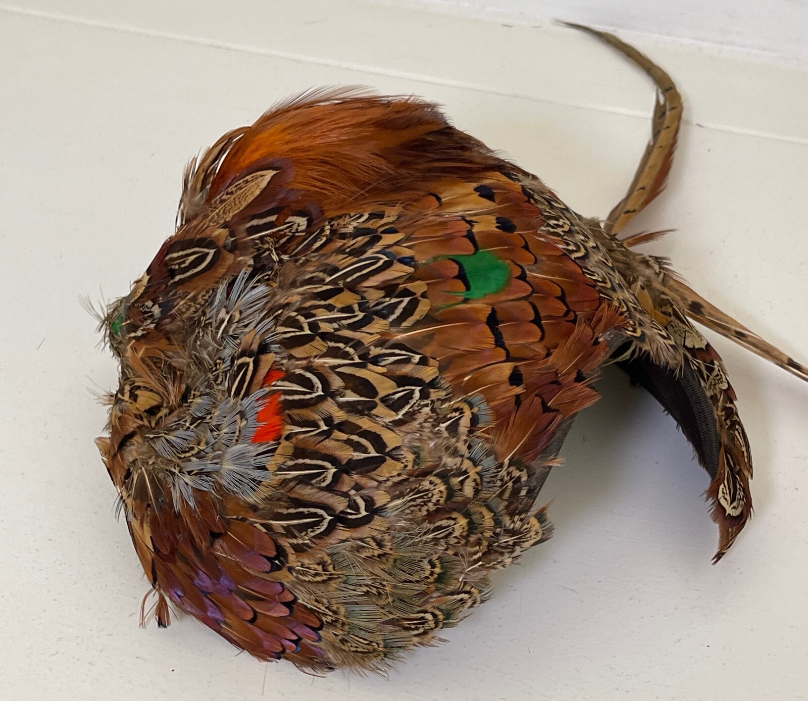 Vintage Dramatic Fascinator Hat Pheasant Feathers & Talon 1950s YY458 ...