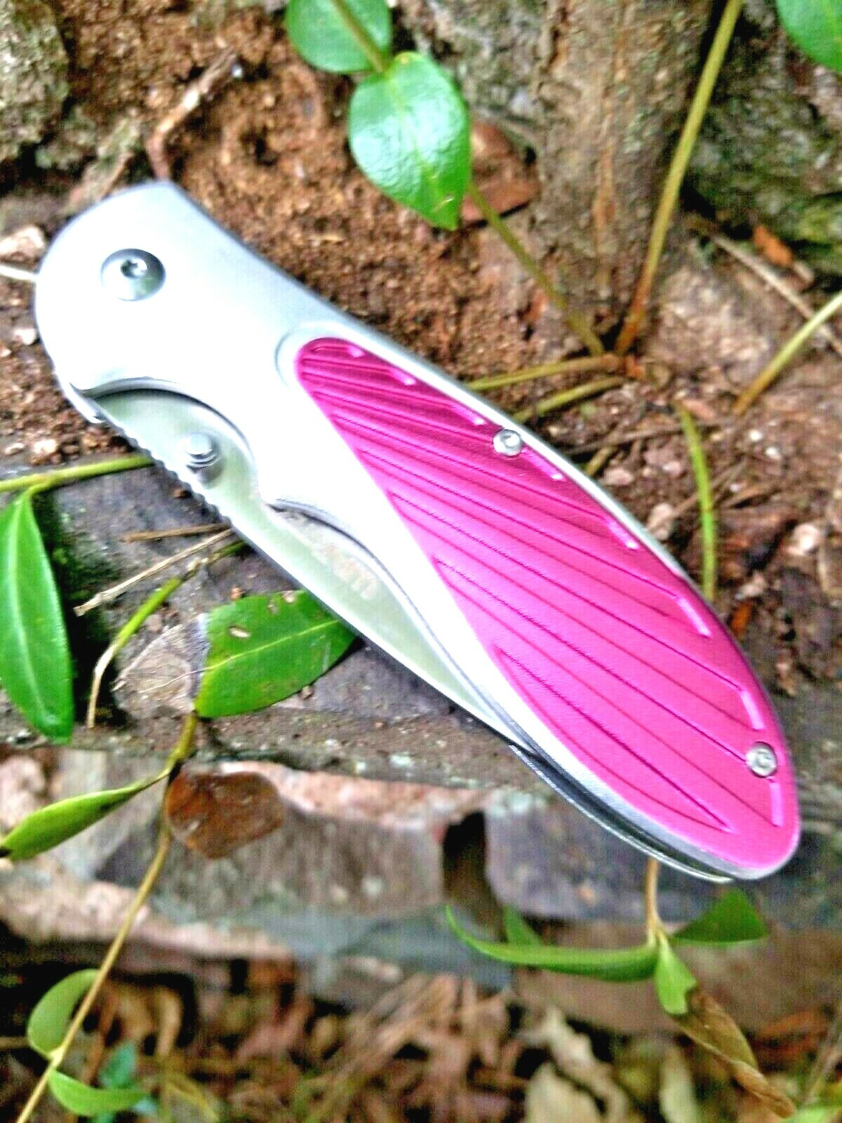 Pink / Silver Women's Spring Assisted Pocket Knife Girls Ladies EDC ...