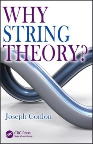 Joseph Conlon Why String Theory? (Poche) | eBay