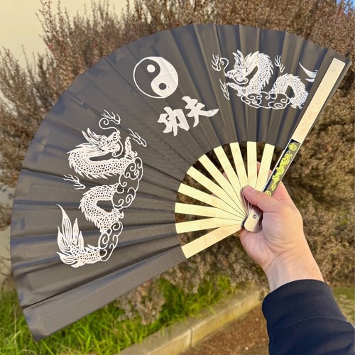 Martial Art Tai Chi Kung Fu Fighting Fan Steel Frame with Dragon Black ...
