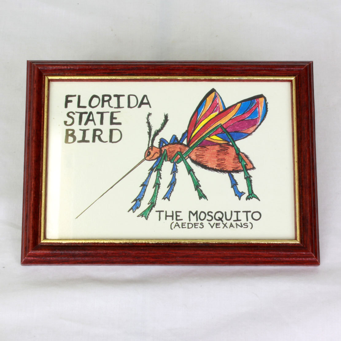 Florida State Bird - Mosquito - Wooden Picture Frame | eBay UK