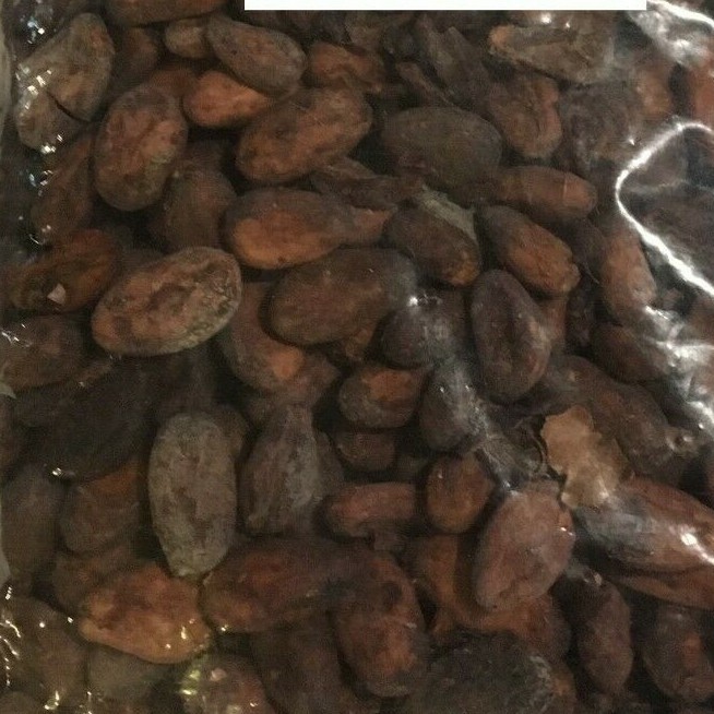 COCOA BEANS BULK BUY 1 KG FRESH FROM FIJI MAKE YOUR OWN CHOCOLATE ...