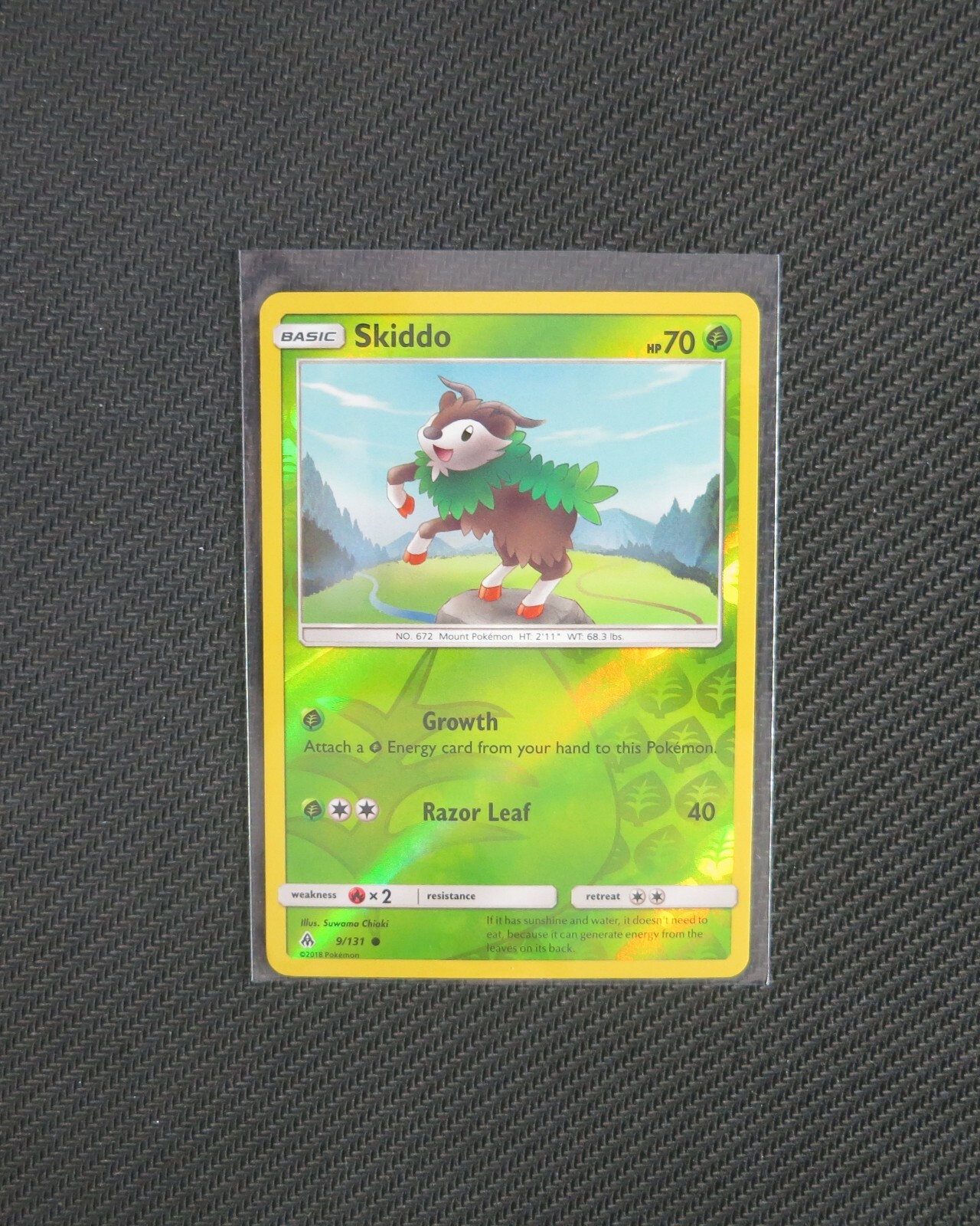 1X Skiddo 9/131 REVERSE HOLO Forbidden Light Pokemon TCG Card | eBay