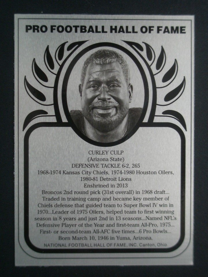 Pro Football Hall of Fame Metal Metallic Bust Cards Mint Aluminum - NFL ...
