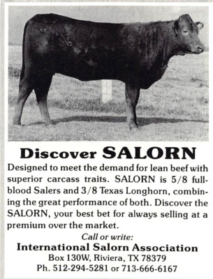 International Salorn Association Riviera Texas Discover Salorn Vtg Mag ...