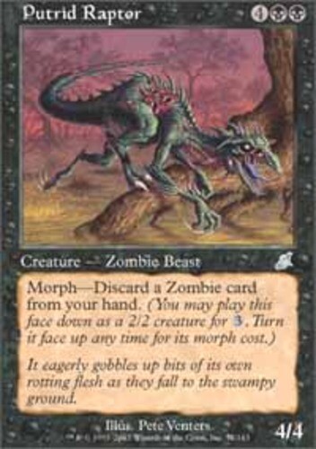 Heavy Play, Japanese MTG Regular Putrid Raptor Scourge Magic the ...