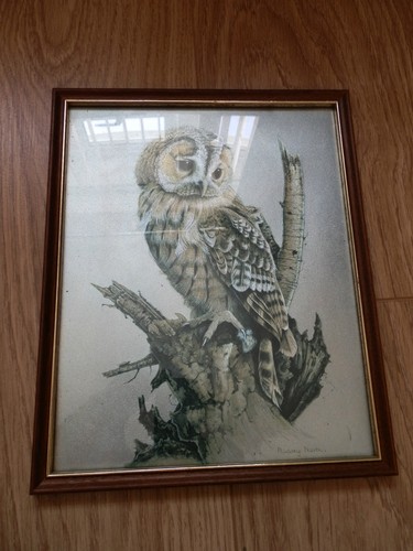 Foil Etching of a Owl By Audrey North 1970s | eBay