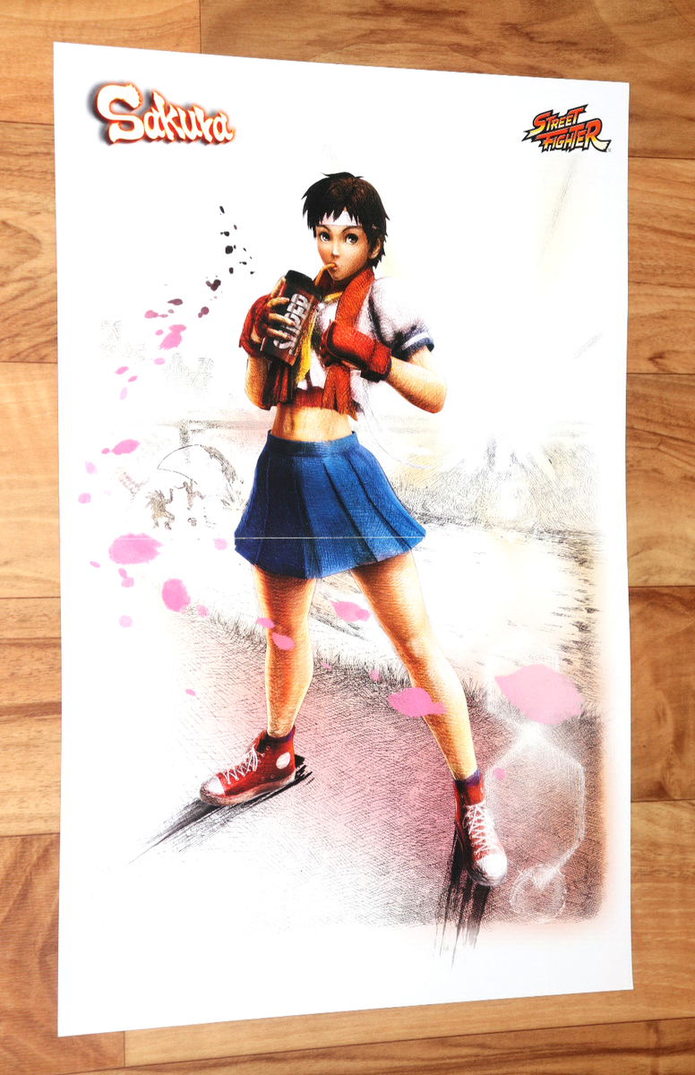 Sakura Wallpaper Street Fighter Sakura Jime | Street Fighter Wiki