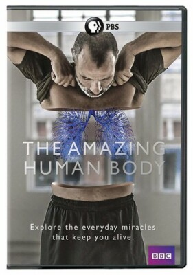 The Amazing Human Body (DVD) LIBRARY COPY, DISC LOOKS GREAT ...