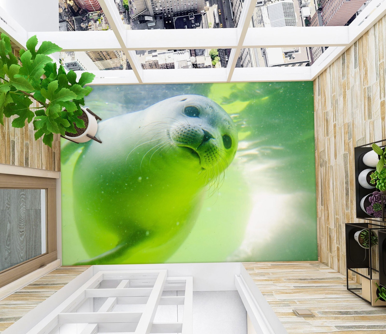 3D Animal Seal K2667 Floor WallPaper Murals Wallpaper Mural Print Luna ...