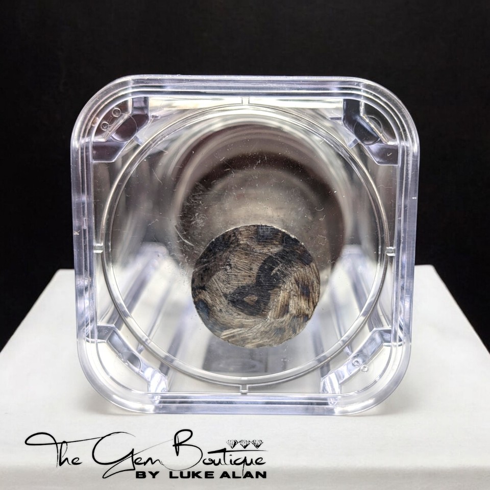 1994-D 10¢ Official US Mint Coin Die - Defaced - NGC Encapsulated ...