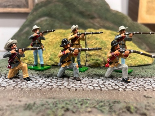 Trophy Miniatures Classic Collection 3rd Texas Infantry | eBay