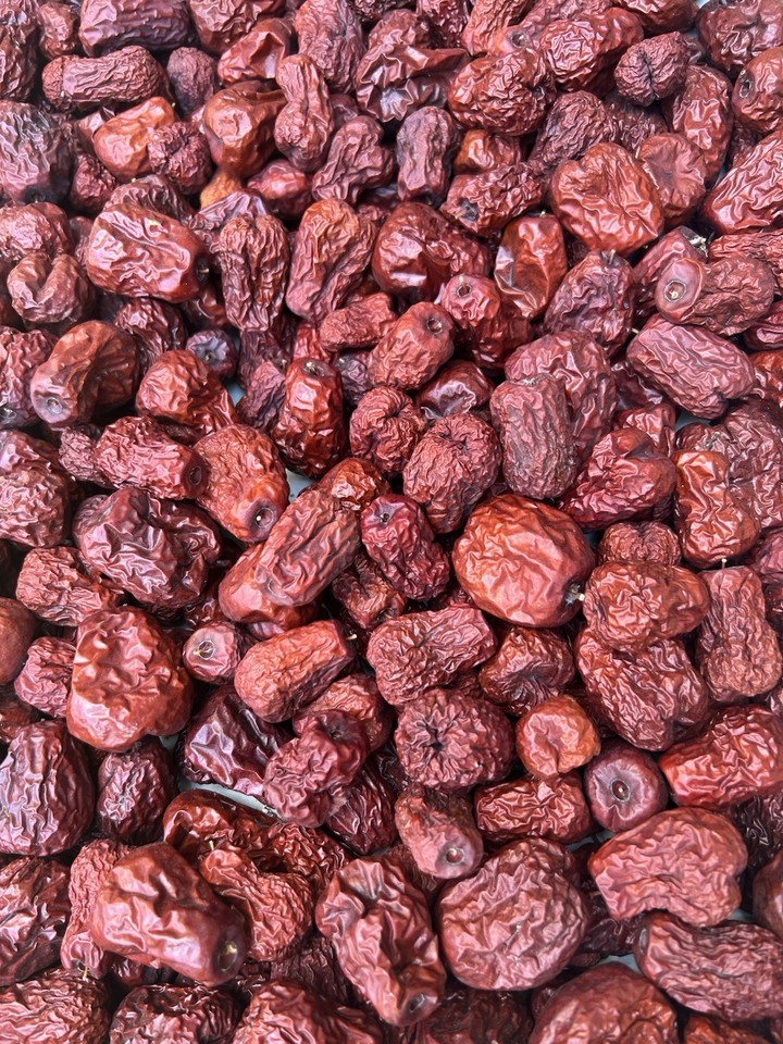 5 Cuttings Jujube Tree Lang Chinese Red Date | eBay