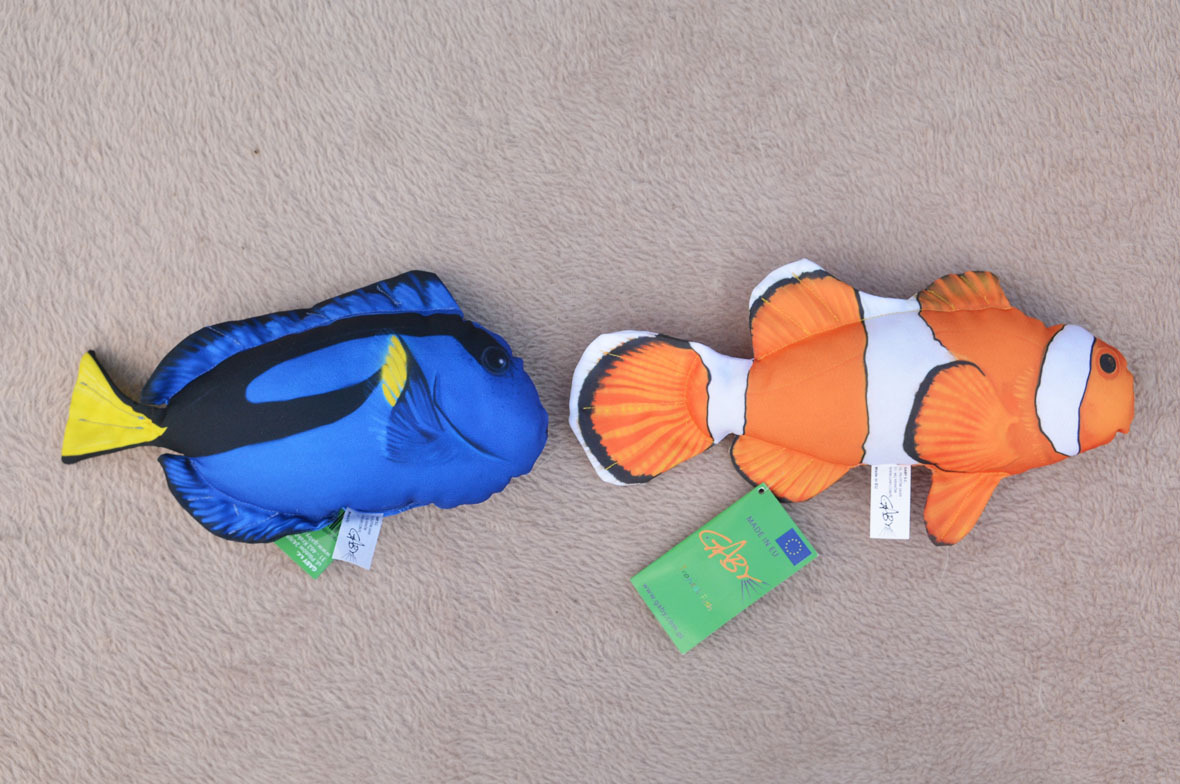 Blue Tang Fish And Clown Fish