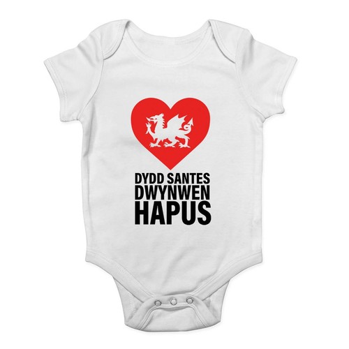 Welsh Dragon Valentines Dydd Santes Dwynwen Hapus Baby Grow Vest ...