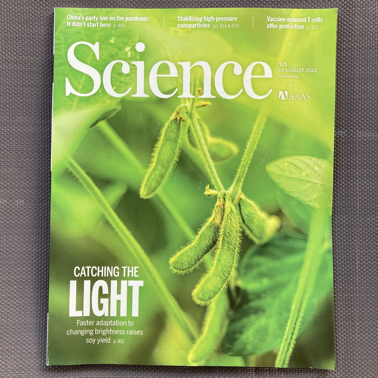 AAAS Science Magazine Vol 377 No 6608 19 August 2022 Light Adaptation ...