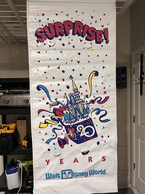 Authentic 20th Anniversary Disney World Banner | eBay