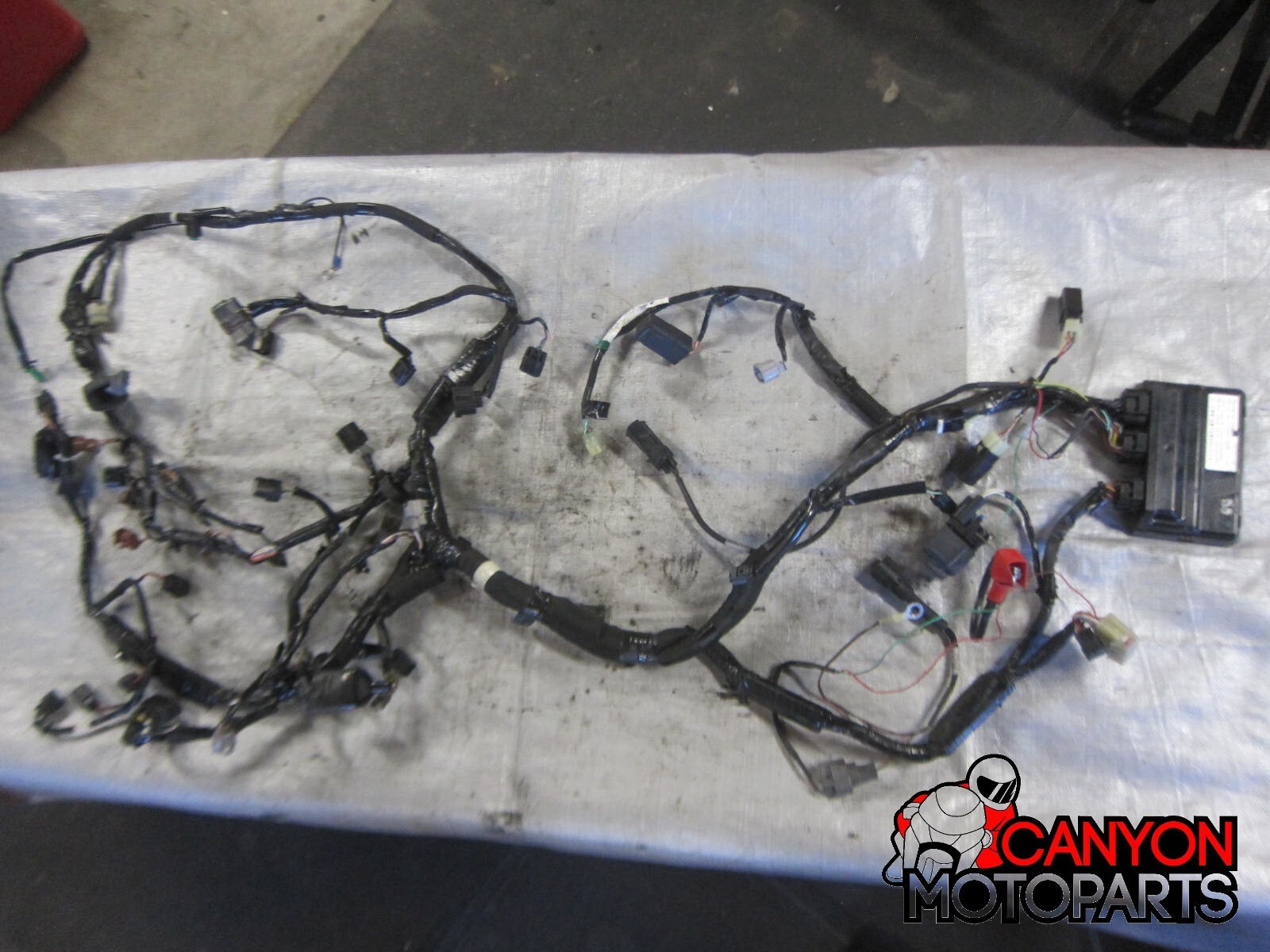 16 17 18 19 20 Kawasaki ZX10R ZX10 Race Harness w/ ECU 26031-2113 21175 ...